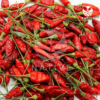 Bird Eye Chili (Kanthari Chili) - Native of Natural